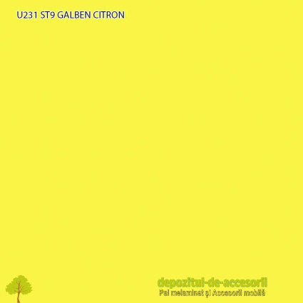 Pal melaminat - la cel mai mic pret (3)